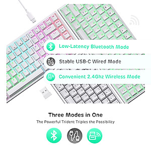 RK ROYAL KLUDGE RK84 Wireless RGB 75% Triple Mode BT5.0/2.4G/USB-C Hot Swappable Mechanical Keyboard, 84 Keys BT5.0 Gaming Keyboard w/High-Capacity Battery, Quiet Red Switch