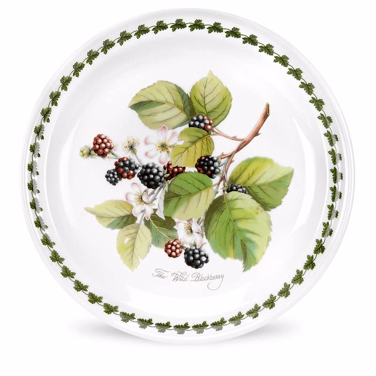 Portmeirion Pomona Collection | Set of 6 | Ceramic Dinnerware Dish Set | Microwave and Dishwasher Safe | Assorted Fruit Motifs | Made in England (Salad Plates)