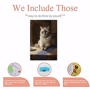 Cat Diamond Painting Kit for Adults - A Blue-Eyed cat Lying on a Tabletop Diamond Art Kit for Adults for Beginners - Perfect for Home Wall Decor (12x18inch)