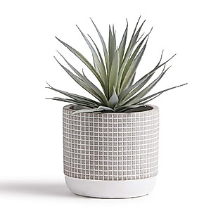 Kurrajong Farmhouse Artificial Plant | 8" Fake Plant | Artificial Succulent in Pot | Fake Succulent | Faux Plant Indoor | Succulent Plant Artificial | Faux Succulent in Pot