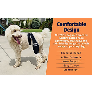 TOFIK Dog Knee Brace for Torn ACL Hind Leg – Premium Neoprene Dog Sling for Large Dogs Hind Leg Support – Washable and Reusable Dog Leg Brace with Flexible Springs (M, Silver)