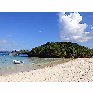 Ricoh WG-70 Black Waterproof Digital Camera 16MP