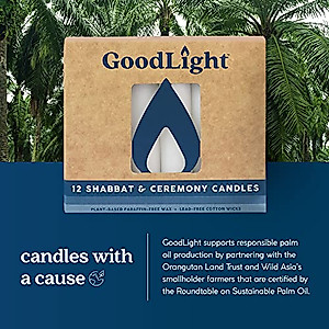 Paraffin-Free Shabbat and Sabbath Ceremony Candles, Made from Vegan Palm Wax, Jewish Shabbat Candles, 3-Hour Burn Time (12 Unscented Shabbos Candles, White)