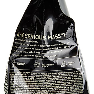 Optimum Nutrition Serious Mass Weight Gainer Protein Powder Vitamin C Zinc and Vitamin D for Immune Support Vanilla 12 Pound (Packaging May Vary)