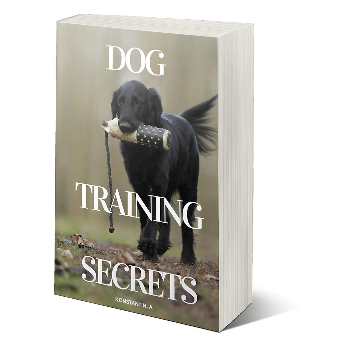 Barkworthies Odor Free Bully Sticks - 2 Pack (5 ct 6 inch) Premium Long Lasting, Protein-Packed, Grain Free Dog Treats and Dog Chews for Aggressive Chewers - Promotes Healthy Teeth for Dogs - E-Book