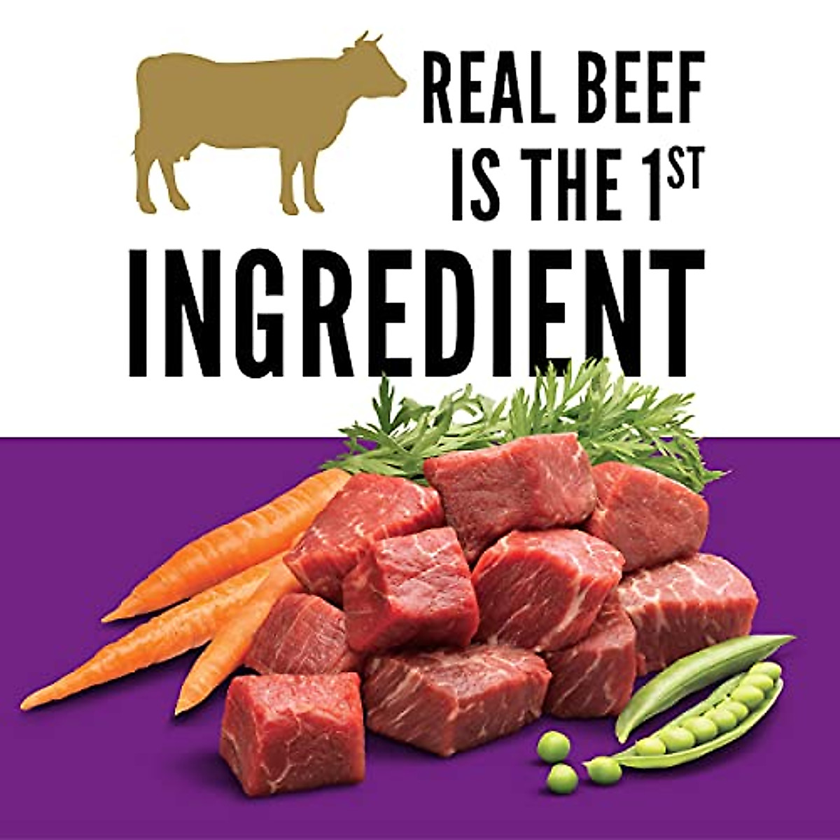 CESAR Small Breed Dry Dog Food Filet Mignon Flavor with Spring Vegetables Garnish Dog Kibble, 12 lb. Bag