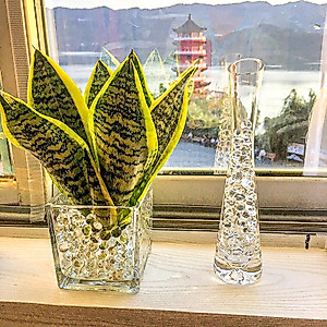 NIKOEO 140,000 Clear Water Gel Beads, Water Gel Beads Vase Fillers for Floating Pearls, Floating Candle Making, Floral Decoration, Wedding Centerpiece, Christmas Decoration