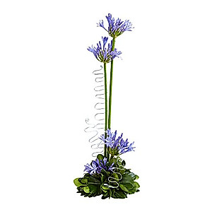 Floral Supply Online - Green Design Bowls for Flower Arrangements, Centerpieces, and Holiday Decorating. (6" Green, 12 Bowls)