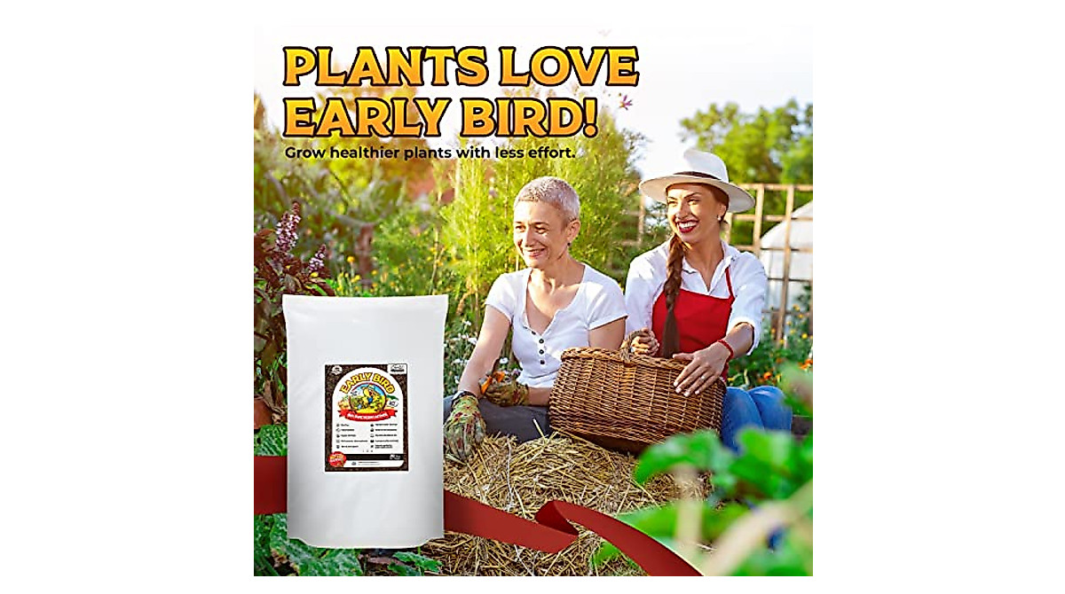 100% Pure Worm Castings Rich in Micro Nutrients - Odor Free Organic ...