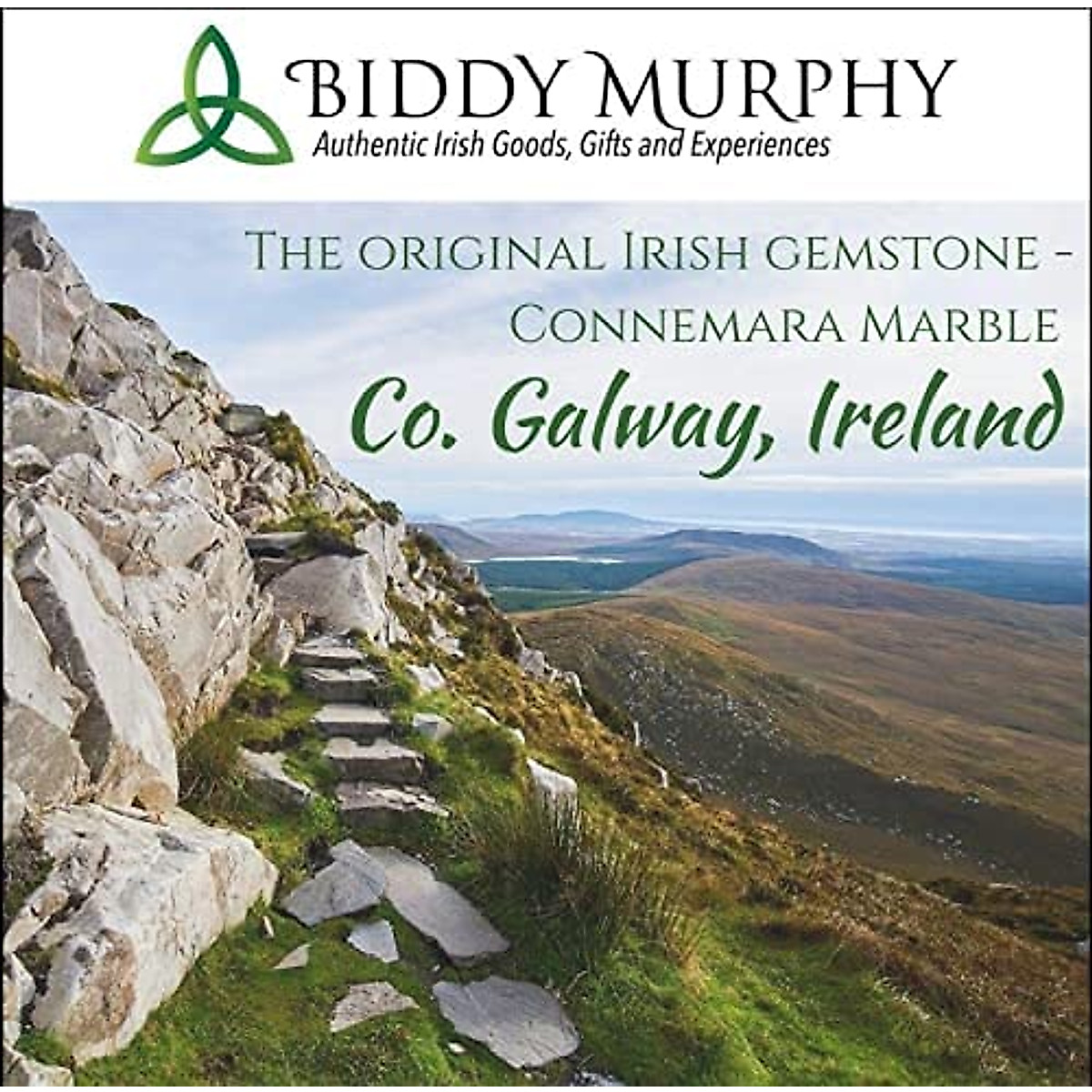 Biddy Murphy, Irish Connemara Marble Round Stud Earrings Sterling Silver for Women, Traditional Woven Celtic Knot, Made in Ireland by Artisan Jewelers