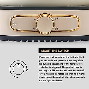 Dezin Electric Shabu Shabu Pot with Removable Pot, 5L Non-Stick Hot Pot Electric with Multi-Power Control, 3.7" Depth Electric Pot with Tempered Glass Lid for Party, Family and Friend Gathering