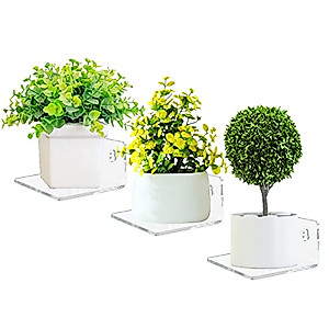 Bigfety Acrylic Small Adhesive Wall Shelves, 3-Ledges, Clear Mini Floating Shelf Flexible Use for Wall Space