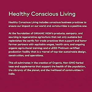Organic India Top Eight Tulsi Herbal Teas - Holy Basil, Ashwagandha, Green, Original, Sleep, Sweet Rose, Turmeric Ginger, Lemon Ginger, Raspberry Peach - Vegan, Organic - 6 Bags Each (48 Total)