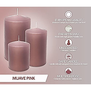 Hyoola Mauve Pink Pillar Candles 2x3 Inch - 4 Pack Unscented Pillar Candles Bulk - European Made
