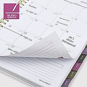 2022 Weekly & Monthly Planner by AT-A-GLANCE, 8-1/2" x 11", Large, Recycled, Watercolors (791-905G)