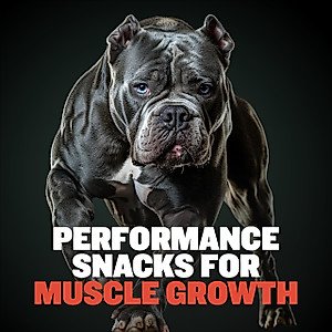 Bully Max Premium High Protein Dog Treats for Puppy & Adult Dogs - Training Dog Food Treats with 32% Protein, Real Meat, Veggies & BCAAs for Small, Medium & Large Breeds, Beef Flavor, 400g Bag