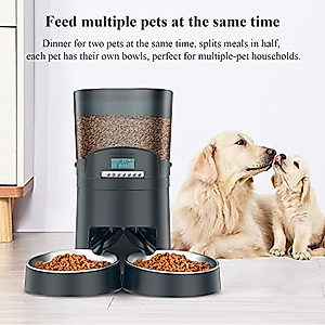 Cat Feeder, HoneyGuaridan 6.5L Automatic Pet Feeder for Two Cats Dogs Food Dispenser Auto Cat Feeder 6 Meal Portion Control, Distribution Alarm, Programmable Timer Feeder, Customizable Voice Recorder