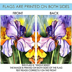 Toland Home Garden 109596 Iris Field Spring Flag 28x40 Inch Double Sided Spring Garden Flag for Outdoor House Flower Flag Yard Decoration