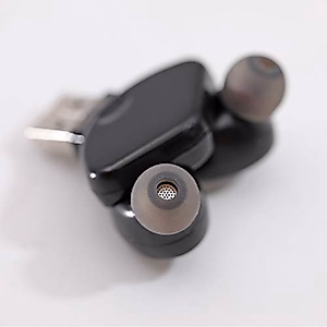Wireless Gear True Wireless Bluetooth 5.0 Mini Earbuds with USB Charging Base, Black
