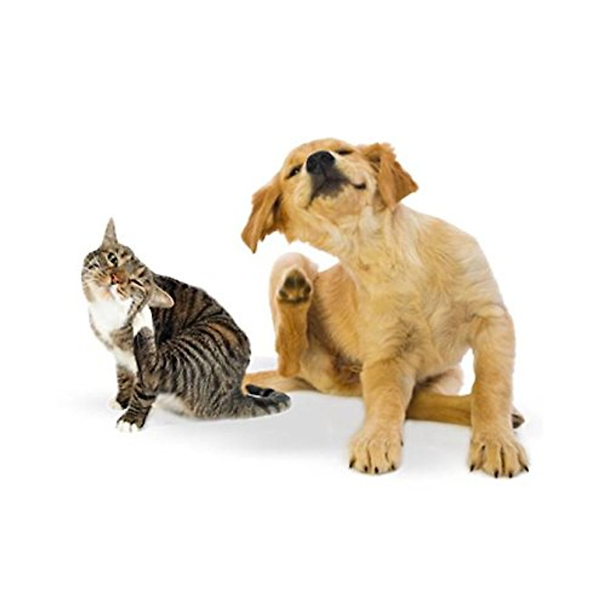 Dog Immune System Supplements - PET Allergy Relief - for Dogs and Cats - Advanced Formula - Burdock Root for Dogs - 2 Bottle (150 Chews)