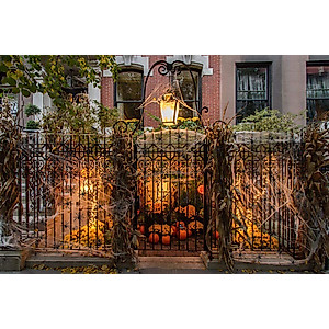 Moon Boat 1100 sqft Fake Spider Web Cobweb Halloween Party Decorations Props with 160 Spiders