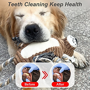 Nopisen Dog Squeaky Toys,Plush Toy for Aggressive Chewers,Indestructible Dog Squeaky Toys,Tug of War Dog Toys,Stuffed Animals Toys with Cotton Material and Crinkle Paper (Lion)