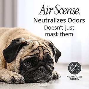 Citra Solv Air Scense Essential Oil Air Freshener - Orange Scent - Non-Aerosol - 7 Ounce | Refreshing, Long-Lasting Scent | Eco-Friendly | Exceptional Value