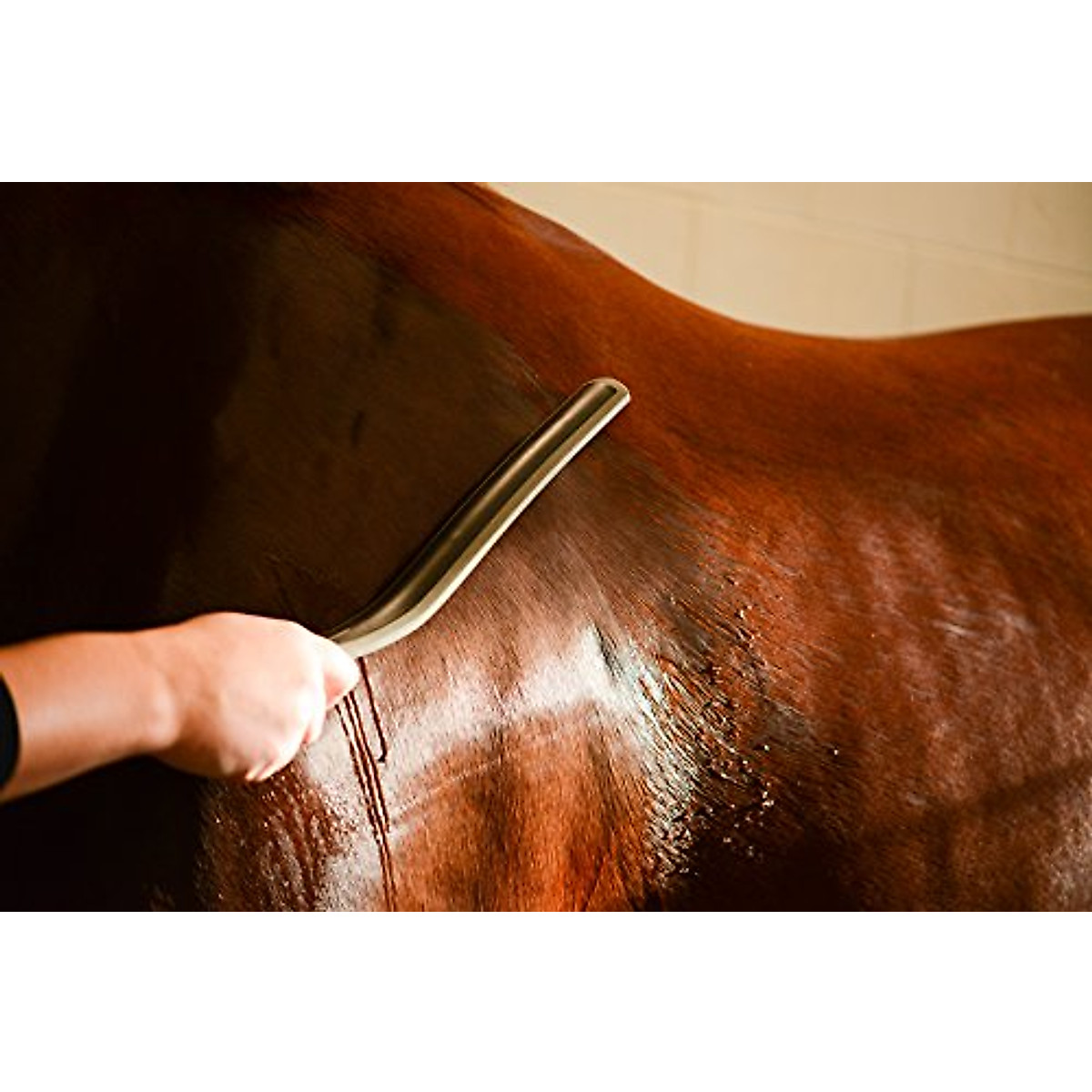 WAHL Professional Animal Equine Grooming Sweat Scraper Horse Tool, Black (858713)