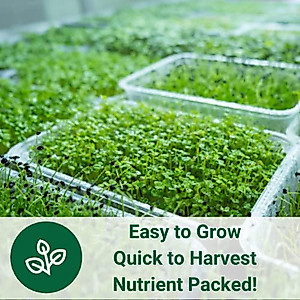 Sow Right Seeds - Microgreens Seed Sample Pack - 9 Packets of Healthy Superfoods to Sprout and Grow Indoors on Your Kitchen Counter. Broccoli, Cress, Sunflower, Arugula, Kale, Radish, Pea, and More