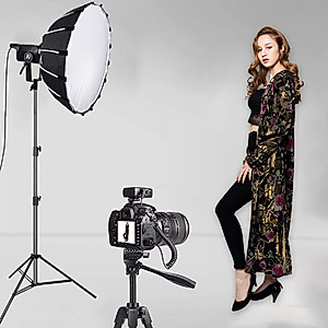 Heavy Duty Light Stand 9.5ft, Aluminum Alloy Lights Stand Spring Cushioned Adjustable Photo Video Lighting Stand, Photography Studio Tripod Stands for Flash LED Video Lights, Ring Lighting, Softboxes