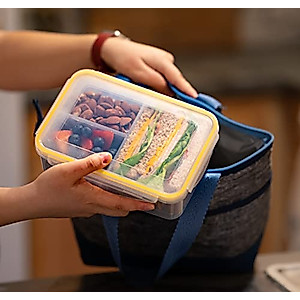 Kitchen & Cabana Set of 3 - Bento Lunch Boxes (3 Removable Compartments) - Snap Shut & Lock Closed, Leak Proof Food Containers, Multi-Colored. Perfect for Work, Travel and Anytime You're on the Go.