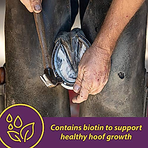 Horse Health Vita Biotin Crumbles horse hoof Supplement, Helps maintain healthy, sound hooves and strong hoof walls, 3 lbs., 48 day supply