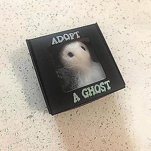 Renyqatt 2PCS Adopt A Ghost, 2024 Super Cute Little Pocket Ghost with A Tiny Scroll, Mini Plush Stuffed Ghost Doll, Creative Gift for Ghost Stories, Halloween Decoration Lovers