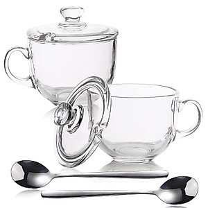 OULOVECO Glass Cereal Bowl Clear Oatmeal Bowl with Handle Spoon Clear Coffee Mug with Lids Microwave Safe Milk Breakfast Yogurt Bowl for Dessert Beverage Tea,400ml/13.5 oz,Set of (Clear)