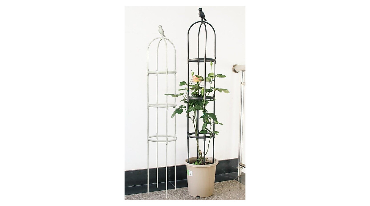 Durable Climbing Vine Rack Trellis for Your Garden
