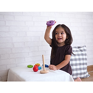 PlanToys Wooden 8 Piece Sorting and Stacking Ring Toy (5124) | Rainbow Color Collection |Sustainably Made from Rubberwood and Non-Toxic Paints and Dyes