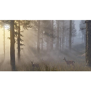 Red Dead Redemption 2 (PS4)