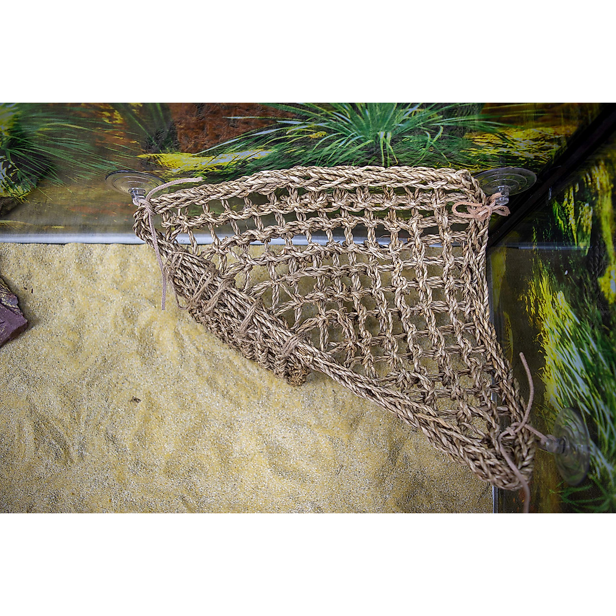 PENN-PLAX Reptology Lizard Lounger Corner Triangle with Ladder– 100% Natural Seagrass Fiber – Great for Bearded Dragons, Anoles, Geckos, and Other Reptiles – Large