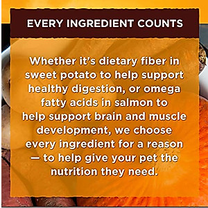 Nature's Recipe Grain Free Wet Dog Food, Chicken & Venison Stew Recipe, 10 Ounce Can (Pack of 12)