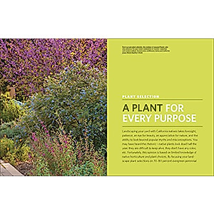 The California Native Landscape: The Homeowner's Design Guide to Restoring Its Beauty and Balance