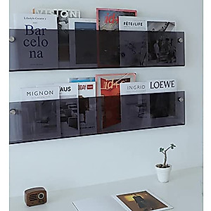 2-Pack Acrylic Magazine Holder Brochure Holder, 17" Record Holder Magazine Rack, Fashion Hanging Bookshelf Literature Storage Rack for Waiting Room, Living Room, Office,Translucent Gray 17 Inch