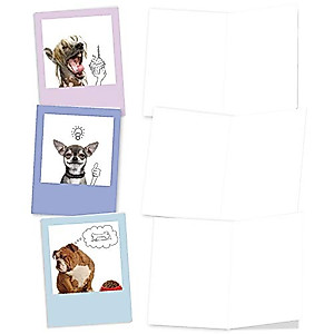 The Best Card Company - 20 Boxed Dog Cards with Envelopes (4 x 5.12 Inch) - Blank Assortment (10 Designs, 2 Each) - Dogs & Doodles AM6582OCB-B2x10