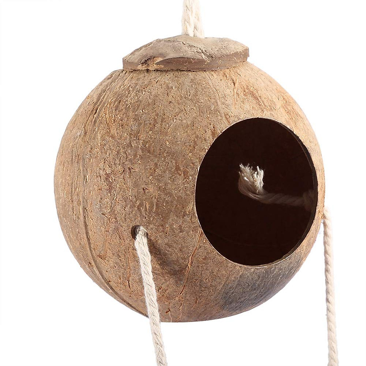 Coconut Shell Bird Nest House Hut with Wood Ladder Bed Swing Toy for Parrot Parakeet Cockatiel Canary Finch Small Parrot Hamster Chinchilla Cage (#2),Bird cage Bird House