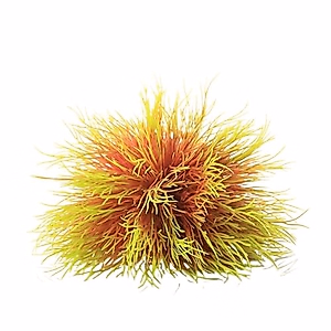 AKVLPGQK 2Pc Decoration Simulation Artificial Plants Ornaments Fish Aquatic Pet Supplies Suitable for Fish Tank Ornament Decoration Landscap Decorative(CP103-2,XS-15X15X9cm)