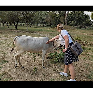 TOPWOLFS Canvas Messenger Bag Small Crossbody Bag Casual Travel Working Tools Bag Shoulder Bag Hold Phone Handset Anti Theft