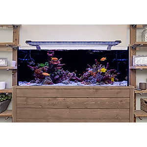 Current USA 36-48" Inch Orbit Marine LED Saltwater Reef Marine Aquarium Light | 24 Hour IR Lighting & eFlux Wave Pump Control | Adjustable Color Spectrum for Fish Tank (4102)