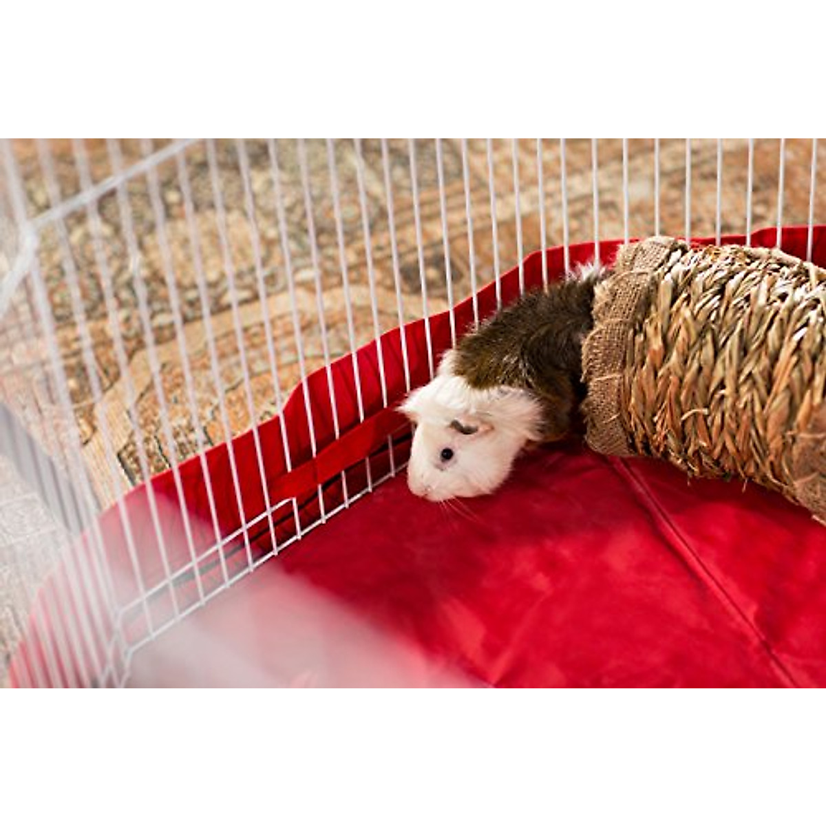 Prevue Hendryx 1098 Nature's Hideaway Grass Tunnel Toy, 13.5" x 6 "