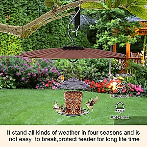 Bird Feeder Baffle with Solar Lamp, Wide Diameter Hummingbird Feeders Covers,Weather Guard Protect Feed from Sun and Bird Seed Dry,for Hanging Bird Feeders Guard-13inches