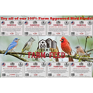 FAMILY FARM AND FEED | Four Season | Black Oil Sunflower Seed | 4 Pounds | Wild Bird Food | Backyard Songbird