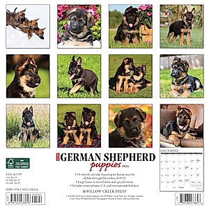 Willow Creek Press German Shepherd Puppies Monthly 2024 Wall Calendar (12" x 12")